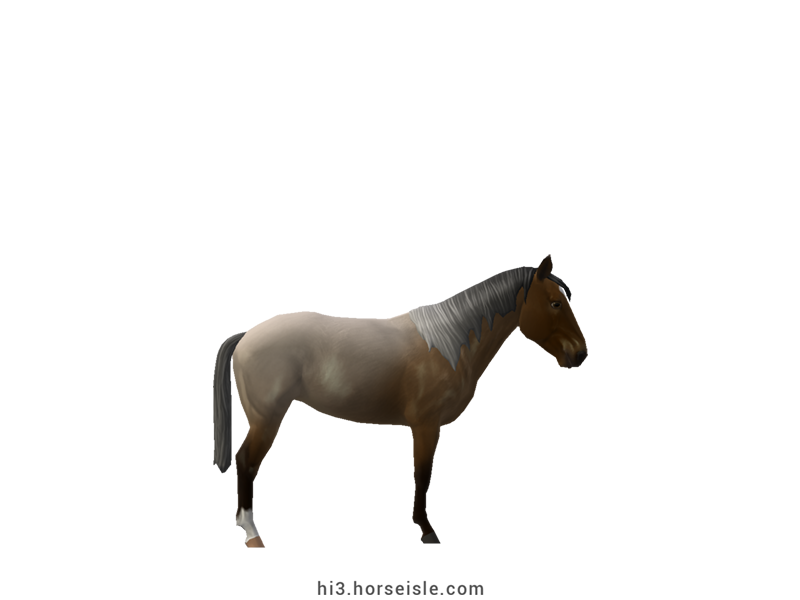 Horse Isle 3: Big Book of Breeds