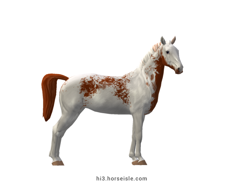 Horse Isle 3: Big Book of Breeds