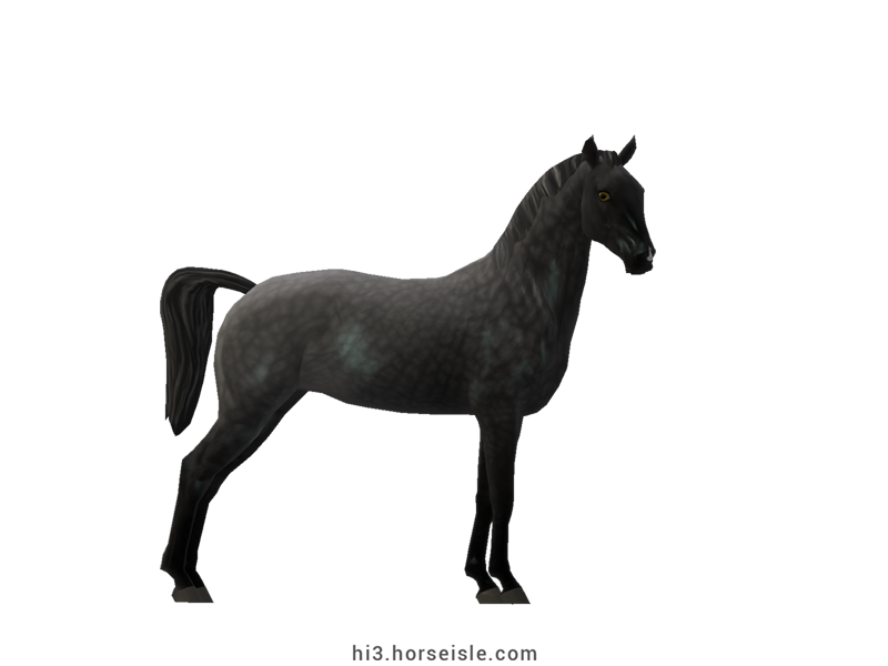 Horse Isle 3: Big Book of Breeds