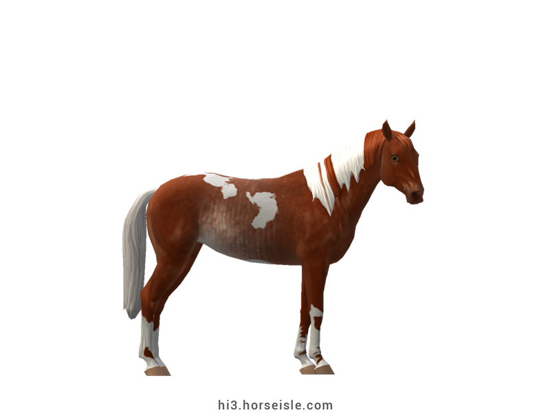 Horse Isle 3: Big Book of Breeds