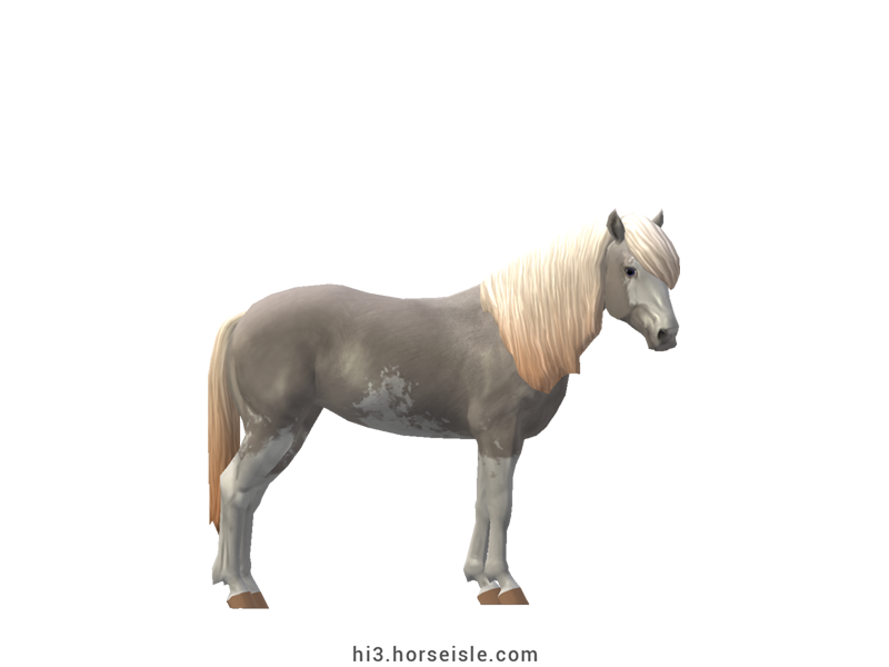 Horse Isle 3: Big Book of Breeds