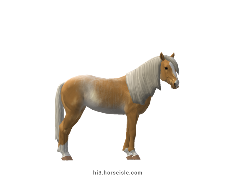 Horse Isle 3: Big Book of Breeds