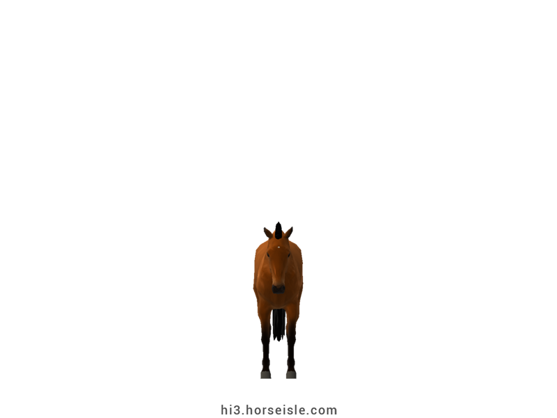 Horse Isle 3: Big Book of Breeds