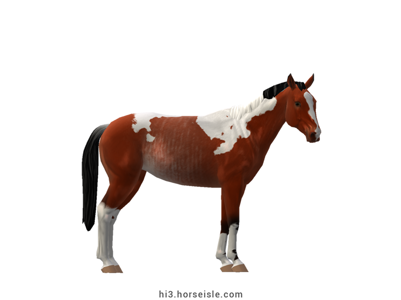 Horse Isle 3: Big Book of Breeds
