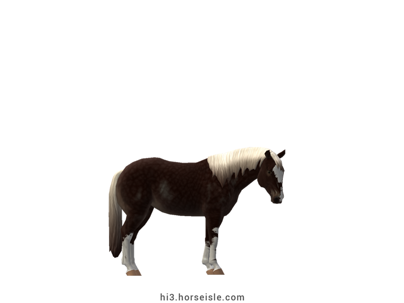 Horse Isle 3: Big Book of Breeds