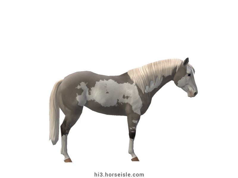 Horse Isle 3: Big Book of Breeds
