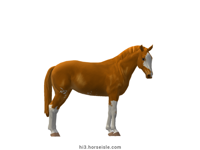 Horse Isle 3: Big Book of Breeds