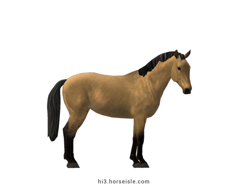 Horse Isle 3: Big Book of Breeds