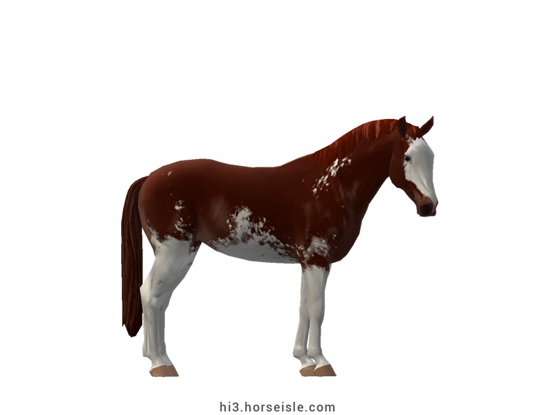 Horse Isle 3: Big Book of Breeds