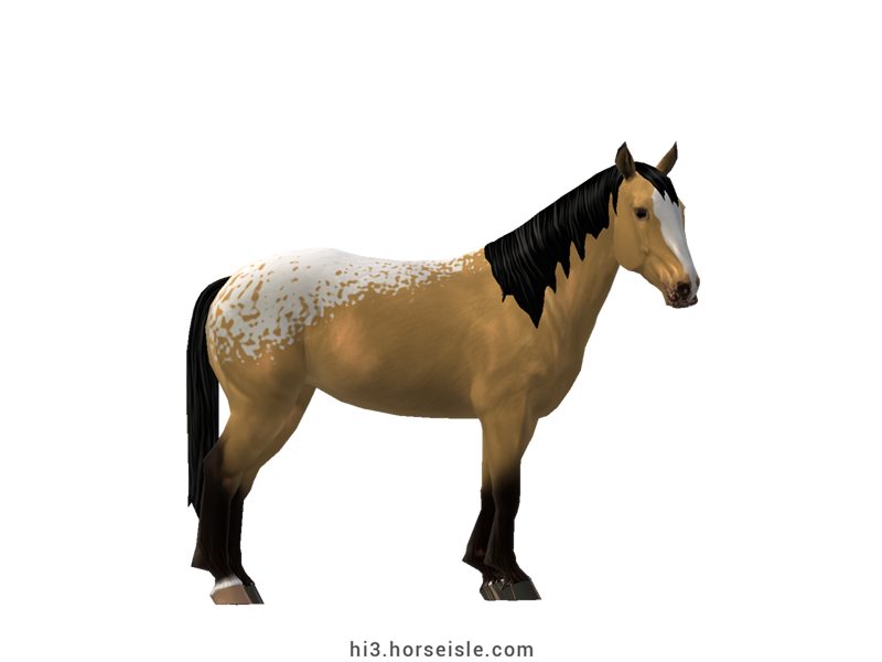 Horse Isle 3: Big Book of Breeds