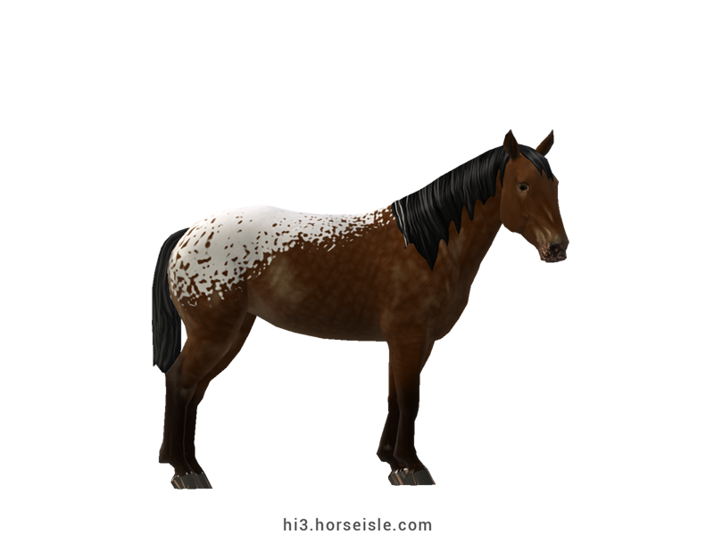Horse Isle 3: Big Book of Breeds