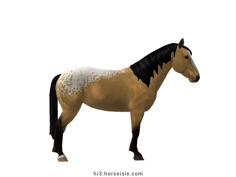 Horse Isle 3: Big Book of Breeds