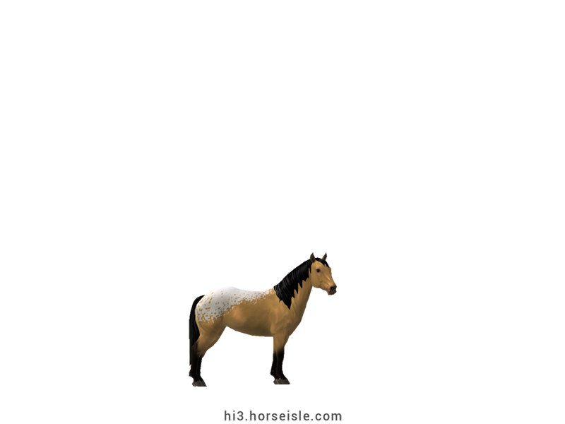 Horse Isle 3: Big Book of Breeds