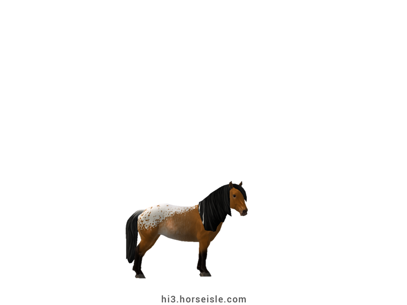 Horse Isle 3: Big Book of Breeds