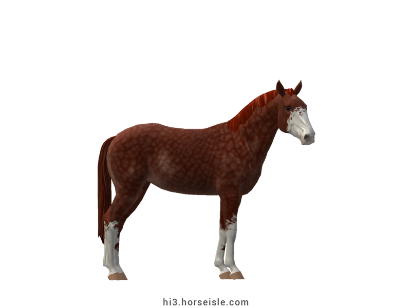 Horse Isle 3: Big Book of Breeds