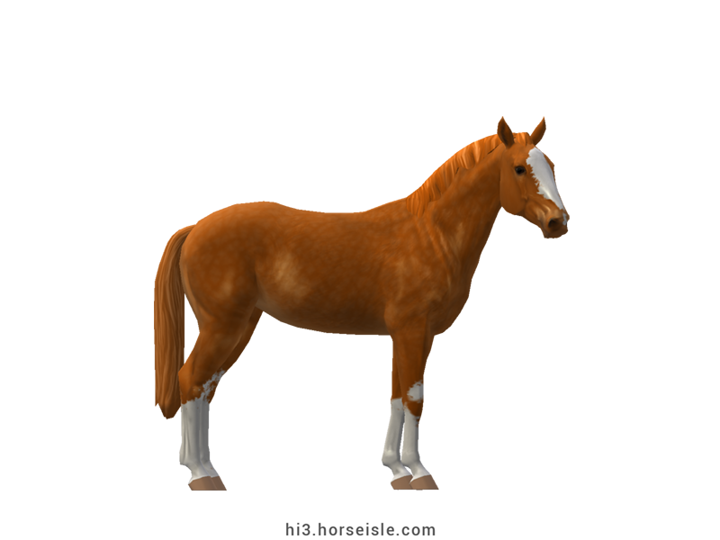 Horse Isle 3: Big Book of Breeds