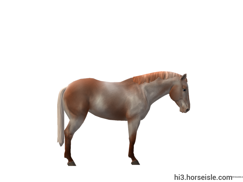 Horse Isle 3: Big Book of Breeds