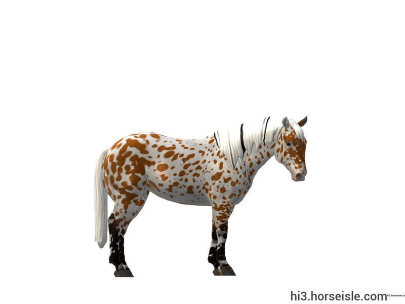 Horse Isle 3: Big Book of Breeds