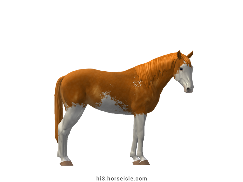 Horse Isle 3: Big Book of Breeds