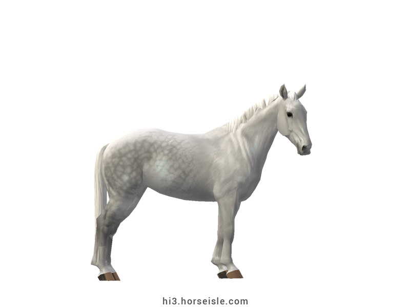 Horse Isle 3: Big Book of Breeds
