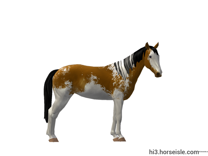 Horse Isle 3: Big Book of Breeds