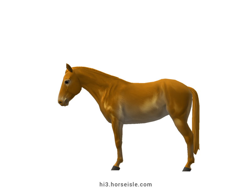 Horse Isle 3: Big Book of Breeds