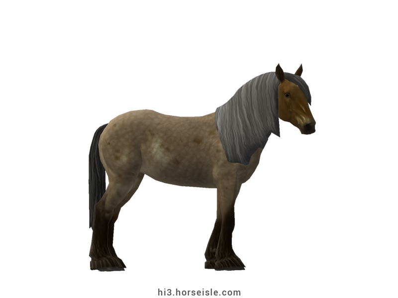 Horse Isle 3: Big Book of Breeds