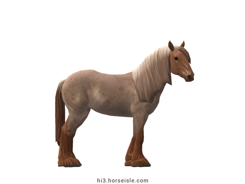 Horse Isle 3: Big Book of Breeds