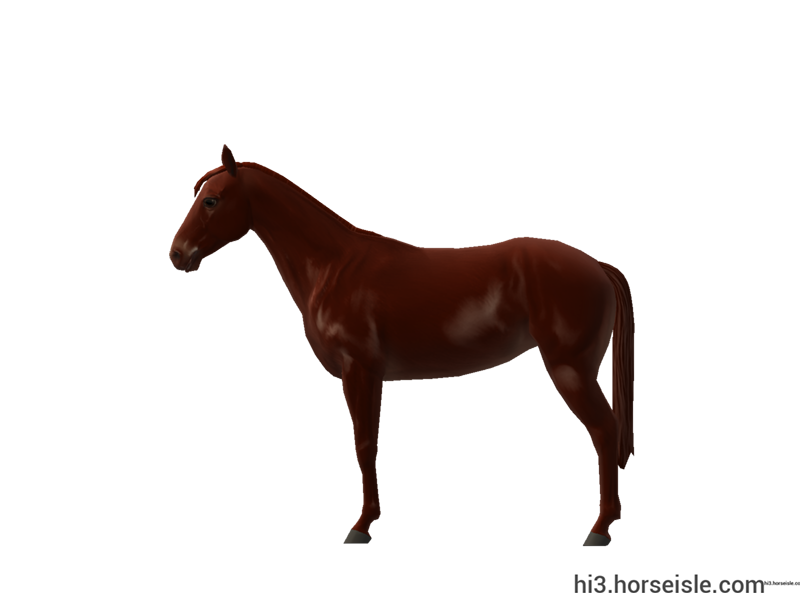 Horse Isle 3: Big Book of Breeds