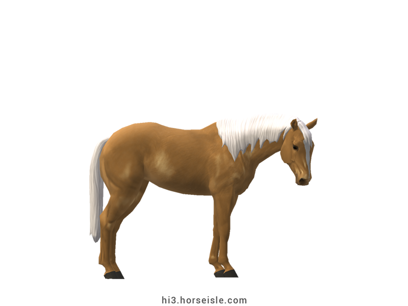 Horse Isle 3: Big Book of Breeds