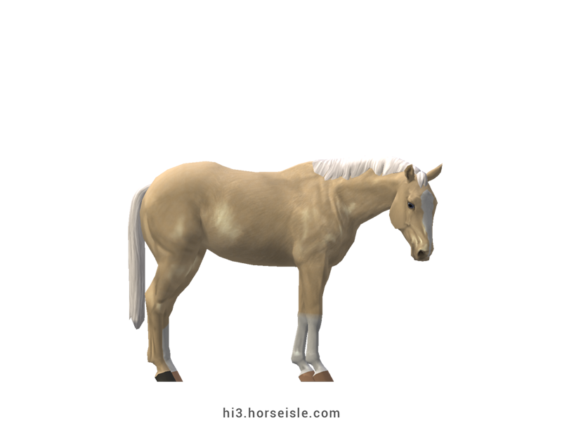 Horse Isle 3: Big Book of Breeds