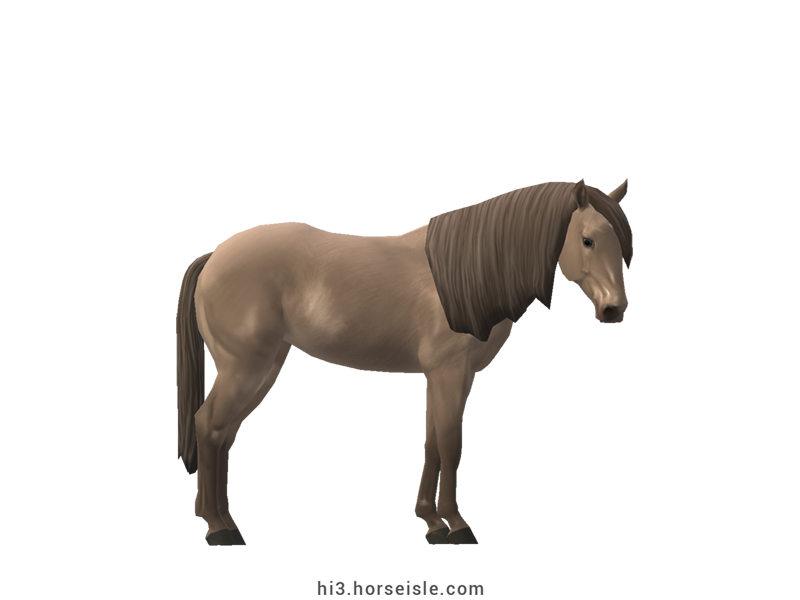 Horse Isle 3: Big Book of Breeds