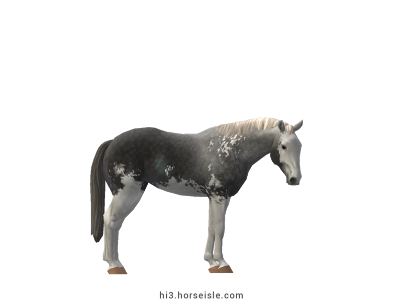 Horse Isle 3: Big Book of Breeds