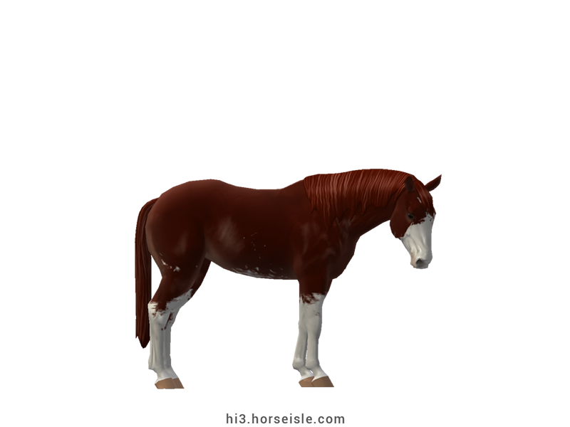 Horse Isle 3: Big Book of Breeds