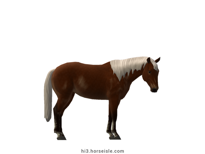 Horse Isle 3: Big Book of Breeds