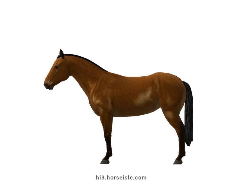 Horse Isle 3: Big Book of Breeds