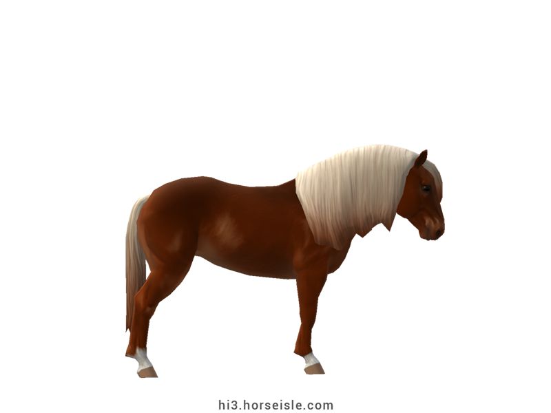 Horse Isle 3: Big Book of Breeds