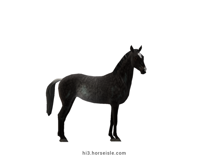 Horse Isle 3: Big Book of Breeds