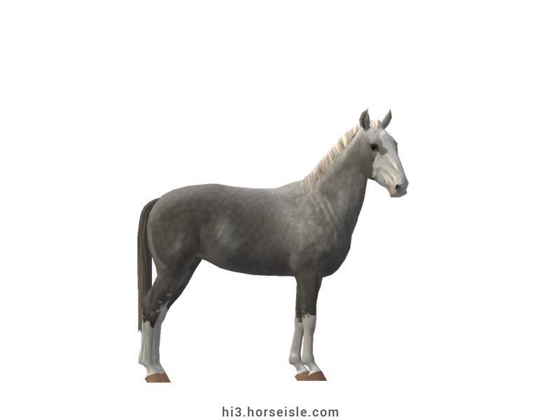 Horse Isle 3: Big Book of Breeds