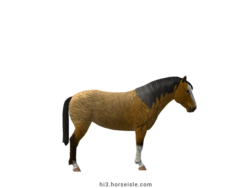 Horse Isle 3: Big Book of Breeds