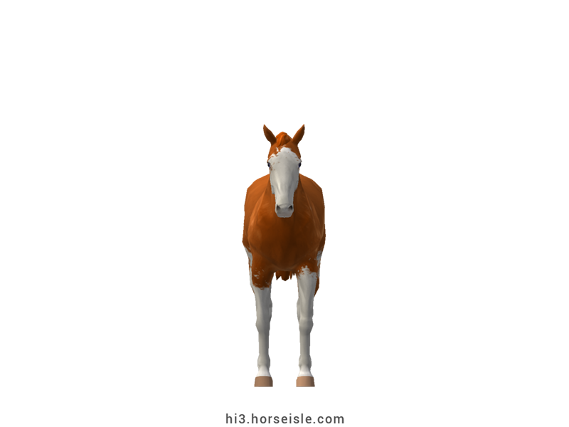 Horse Isle 3: Big Book of Breeds