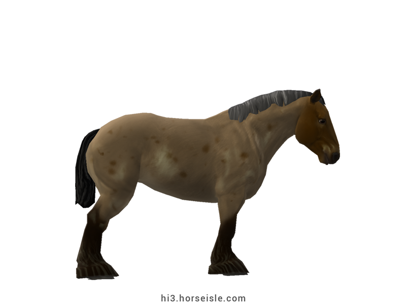 Horse Isle 3: Big Book of Breeds