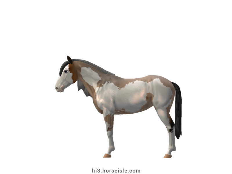 Horse Isle 3: Big Book of Breeds