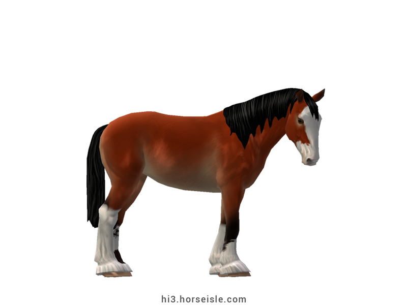 Horse Isle 3: Big Book of Breeds