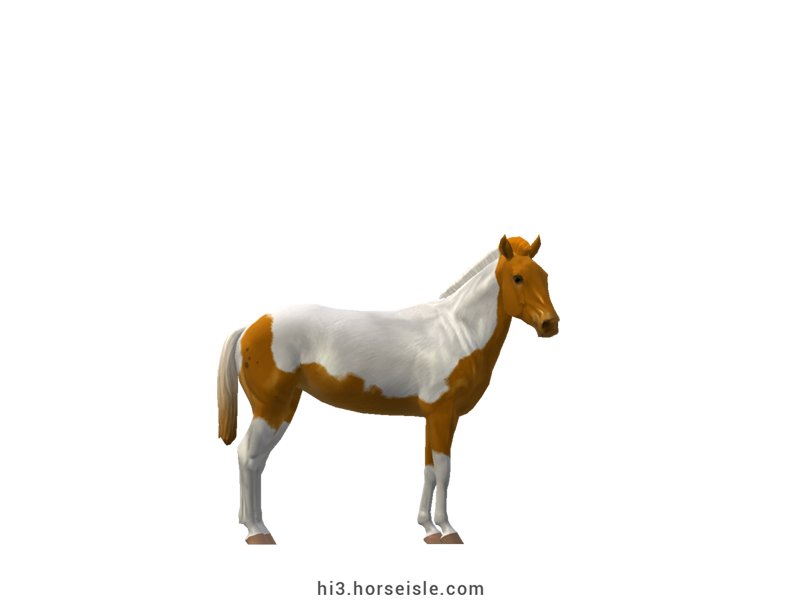 Horse Isle 3: Big Book of Breeds