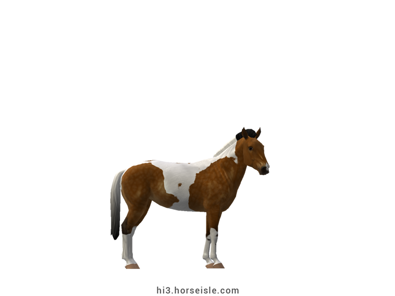 Horse Isle 3: Big Book of Breeds