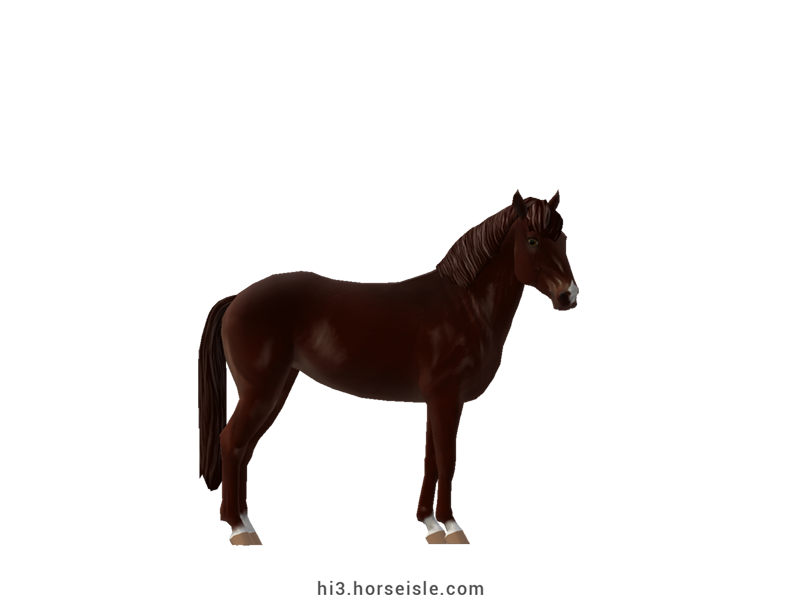 Horse Isle 3: Big Book of Breeds