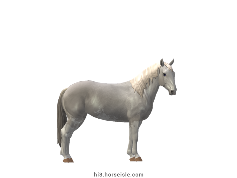 Horse Isle 3: Big Book of Breeds