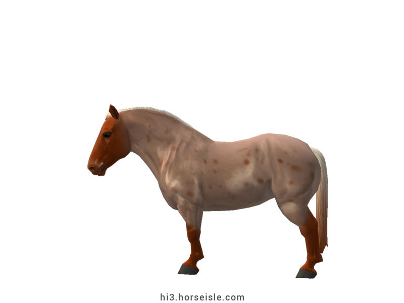 Horse Isle 3: Big Book of Breeds