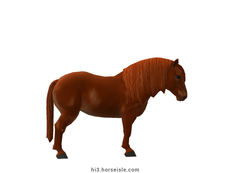 Horse Isle 3: Big Book of Breeds
